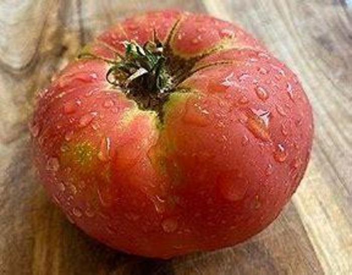 Tomato Brandy Wine Red | Brandy Wine Red Tomato | The Flower Spot