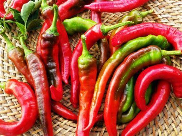 Jimmy Nardello Pepper | Pepper Jimmy Nardello | The Flower Spot